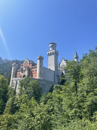 Original Disney Castle… - theDIBB