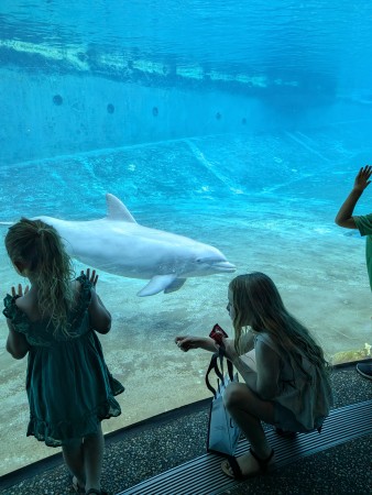 40th In Florida - Day 4 - theDIBB