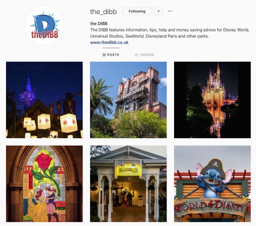 Instagram - the_DIBB - theDIBB