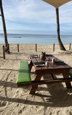 Coyote in Cancun. Margarita Mayhem. Oct 23. Day 7 (Insta) Picture ...