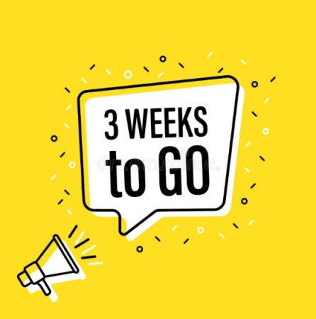 Cheers to 20 Years - A Sparks Epic Disney Christmas 2025 - Page 19 ...