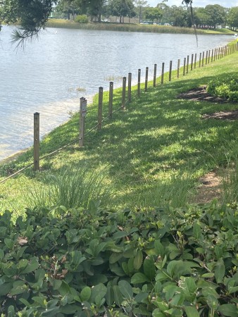 Safety Fencing At SSR - theDIBB